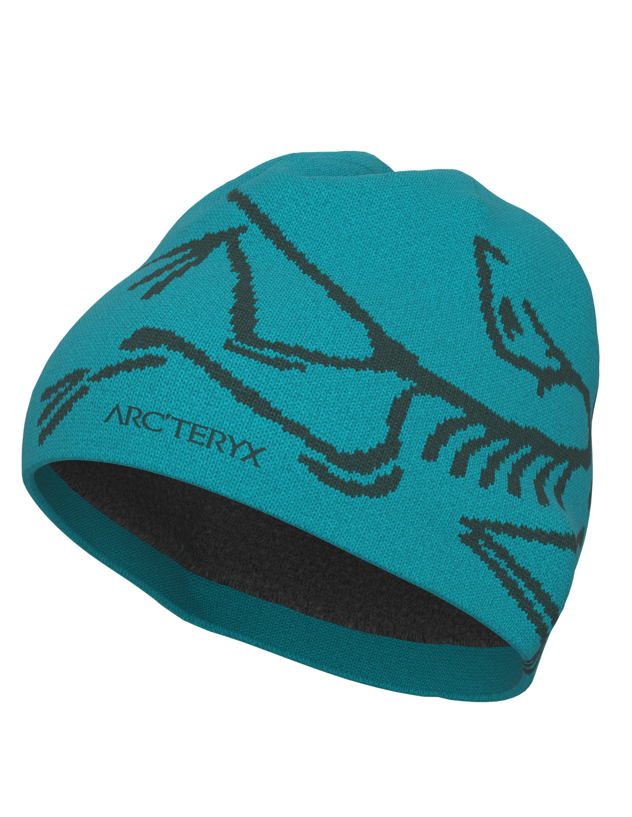 arcterx 2023FW 入荷情報